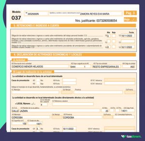 Modelo 037 de Hacienda: Qué es y Cómo Rellenarlo | TaxDown